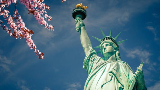 Tag: Liberty Tree Alaska - Alaska Watchman