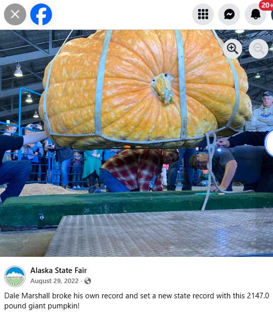 Alaska’s world-record giant cabbage could become official state veggie